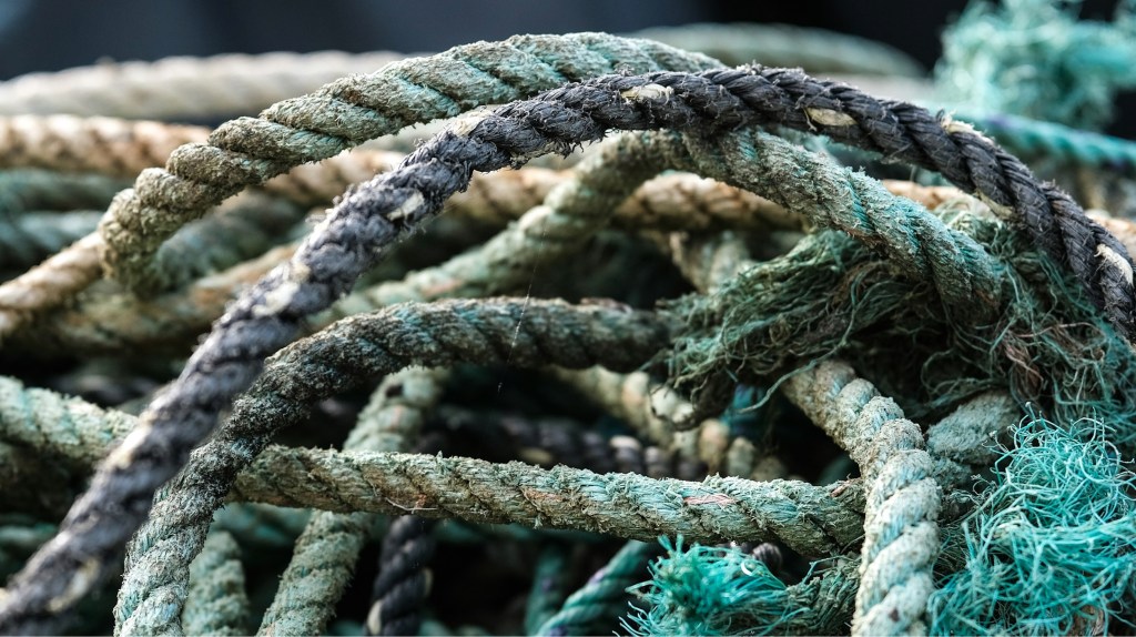 What does it mean to develop mathematical proficiency? – Wonder in ...